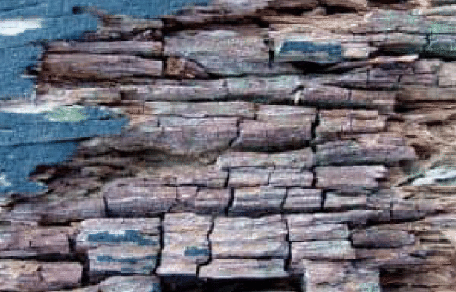 Dry Rot Wood Repair in Omaha, Denver | Thrasher