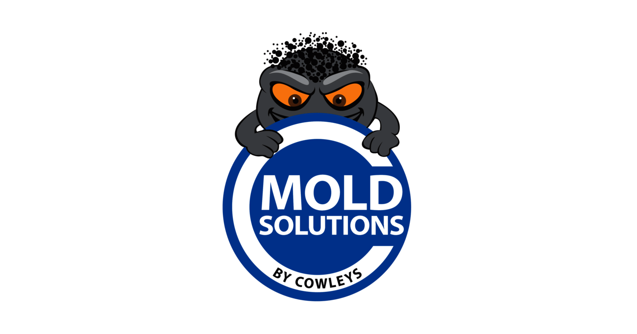 Mold Testing in Toms River, Edison, Woodbridge | Expert Mold Inspections
