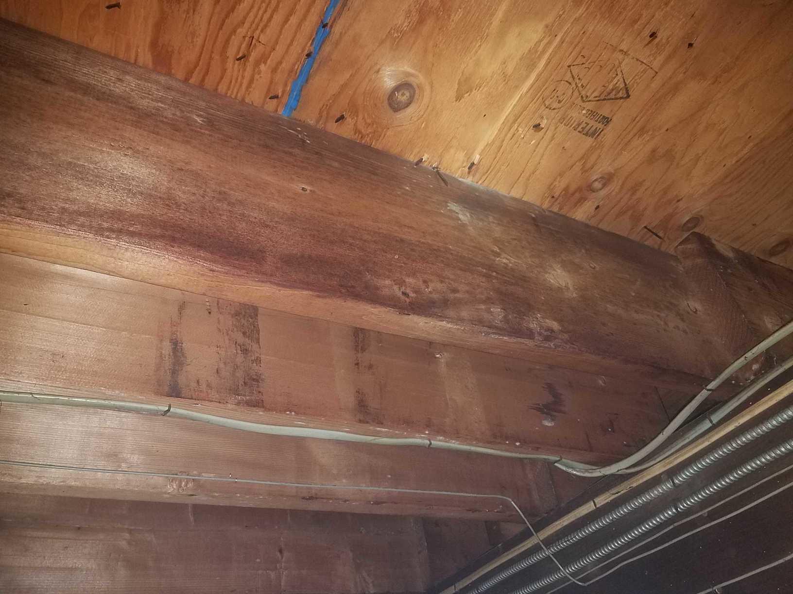 Mold Solutions by Cowleys Before & After Photo Set - High Humidity ...