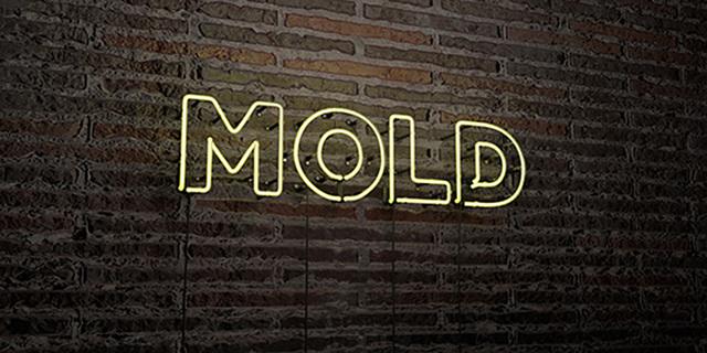 7 Facts You Need to Know About Mold | News and Events for Dry Pro ...