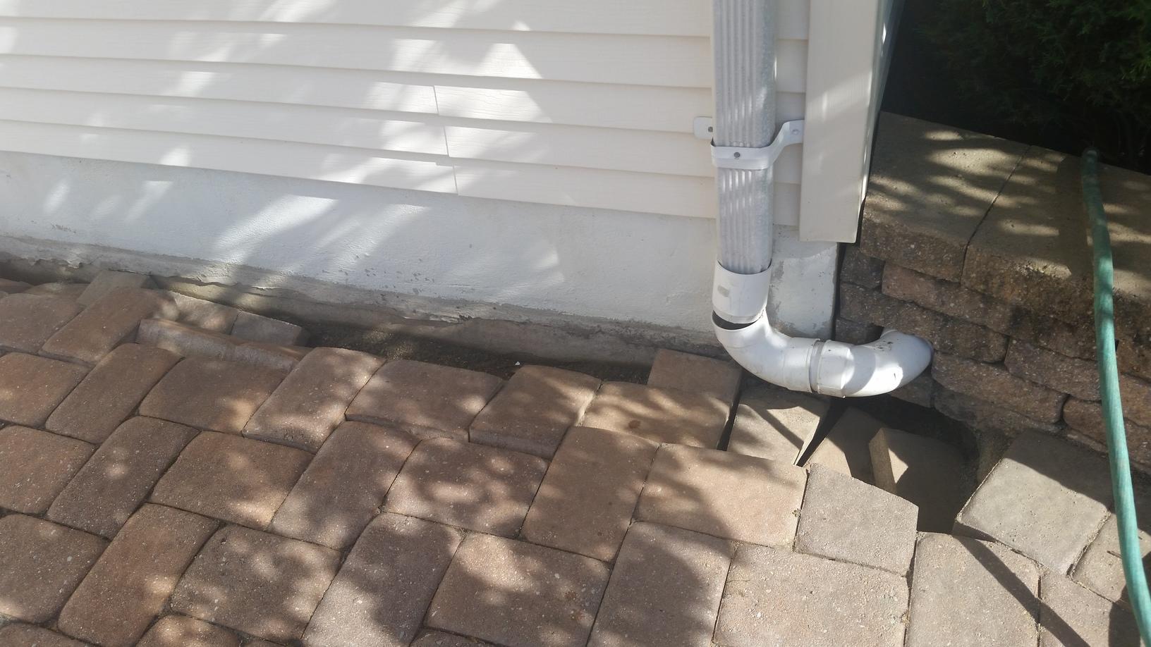 Wildlife Removal - Groundhog & wildlife control in Lanoka Harbor, NJ ...