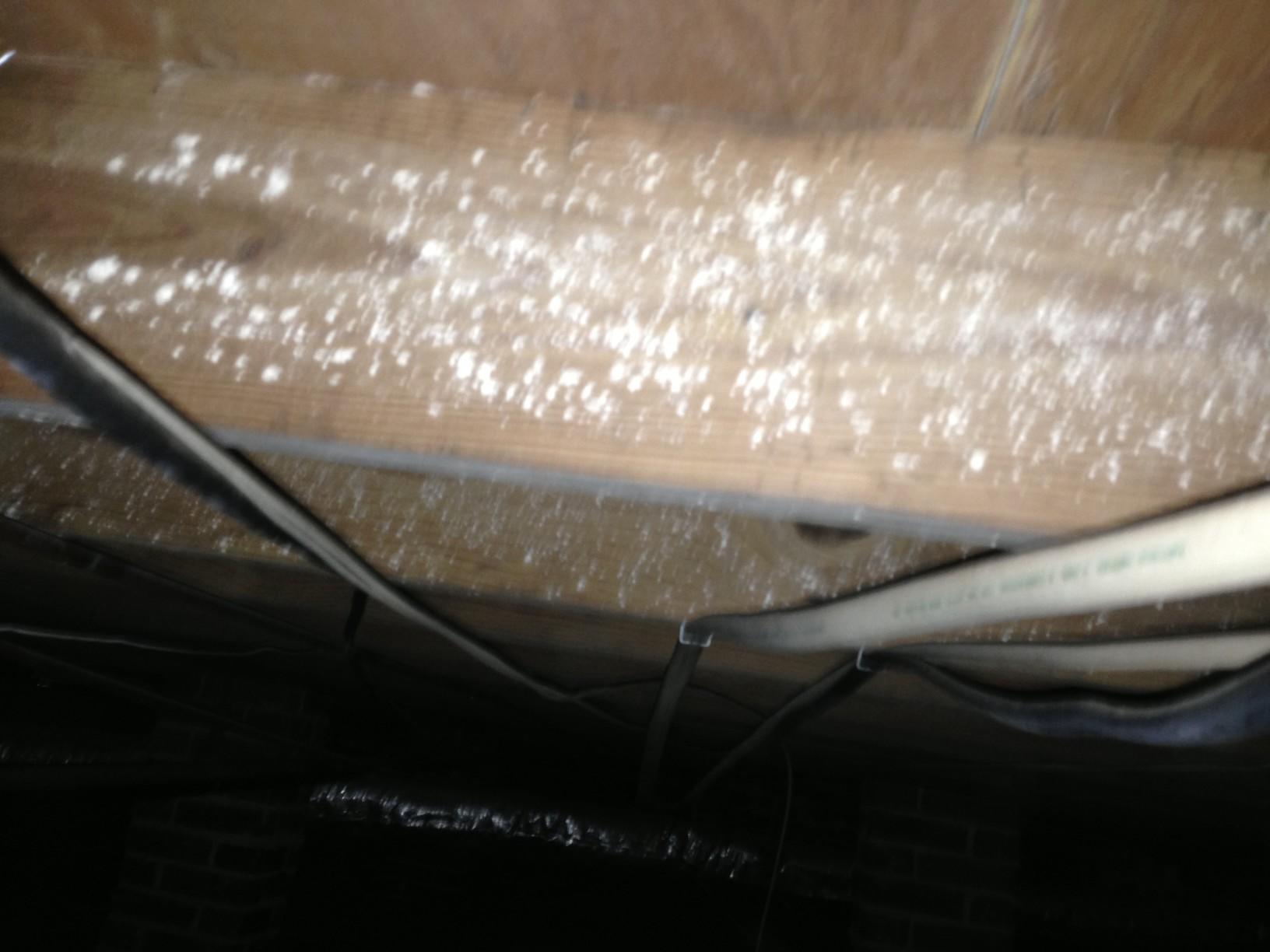 Foundation Repair Products - Mold Removal and Crawl Space Encapsulation ...