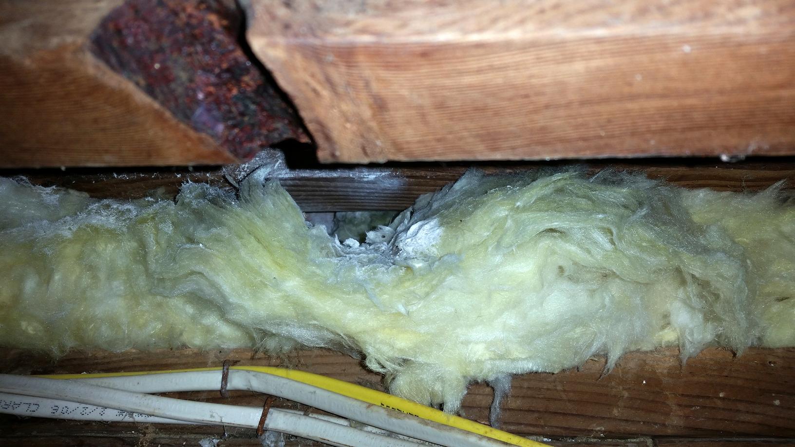 Pests We Treat - Rat Invasion in Seaside Park Home - Rat damage in ...