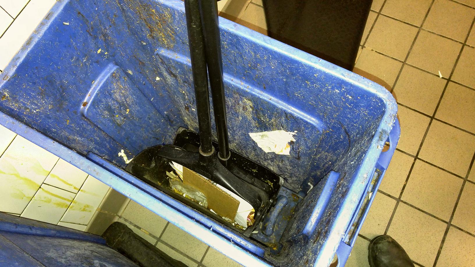 Commercial Pest Services - Horrible sanitation in Matawan commercial ...
