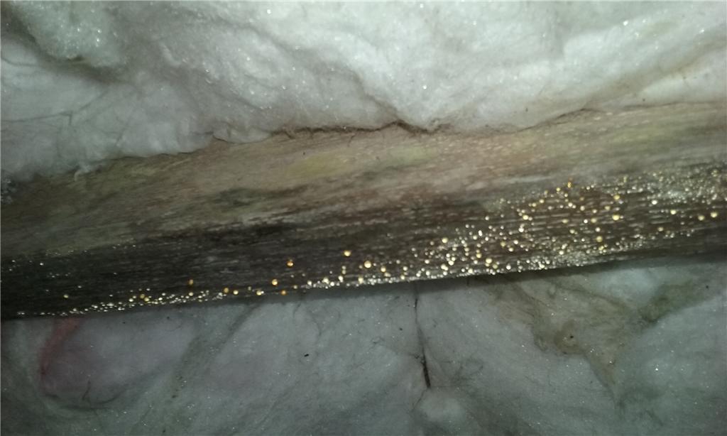 Crawl Space Repair - Crawl Space Encapsulation in Simpsonville, SC ...