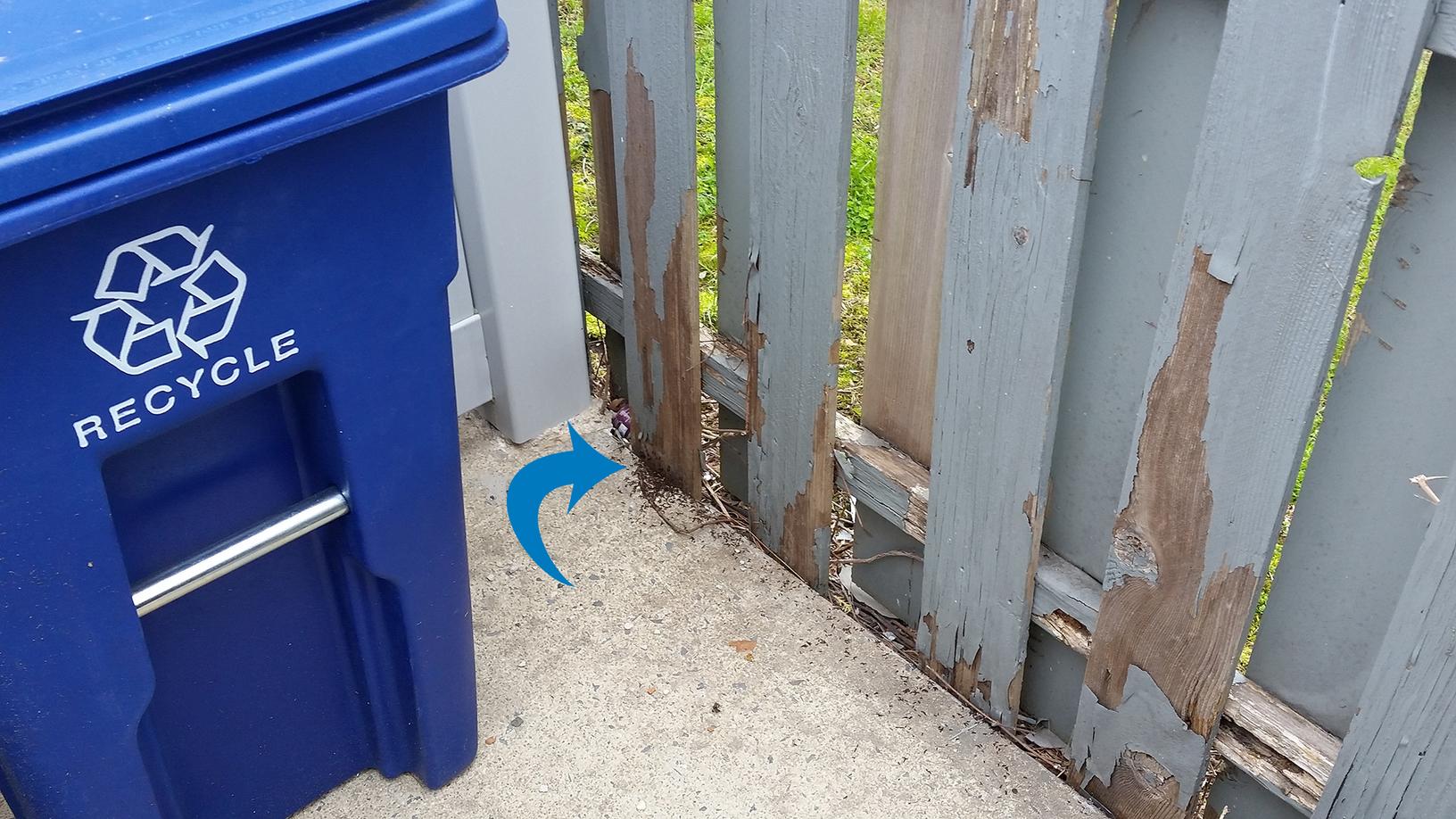 Pests We Treat - Huge ant invasion at Farmingdale, NJ community - Ants ...