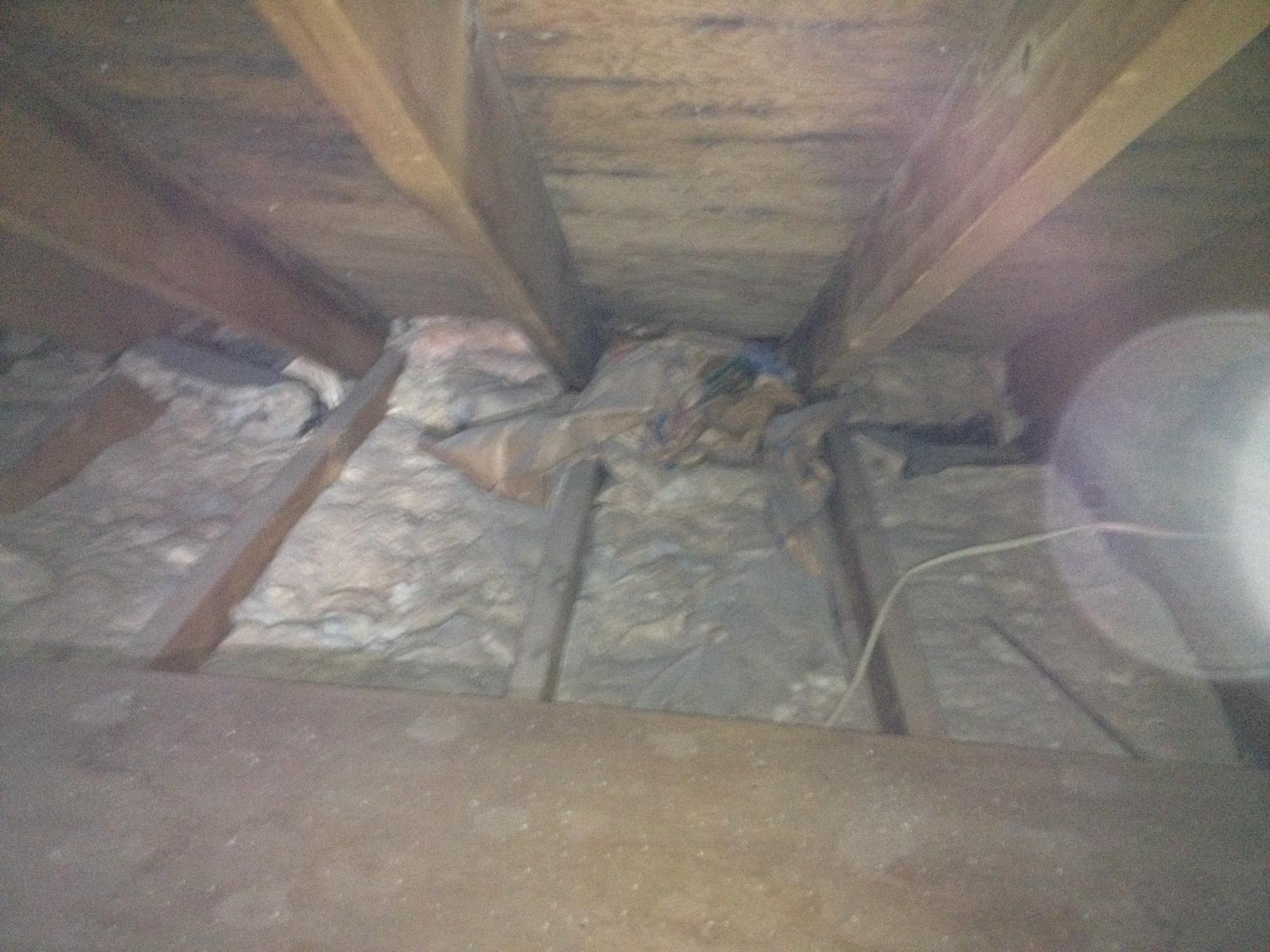 Insulation Services - Attic Insulation in Belmar, NJ - Old Attic Insulation
