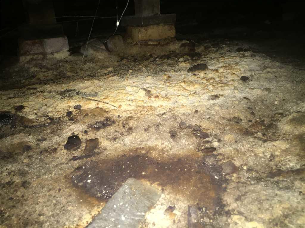 Crawl Space Repair - Efflorescence in Crawl Space in San Diego, Ca ...