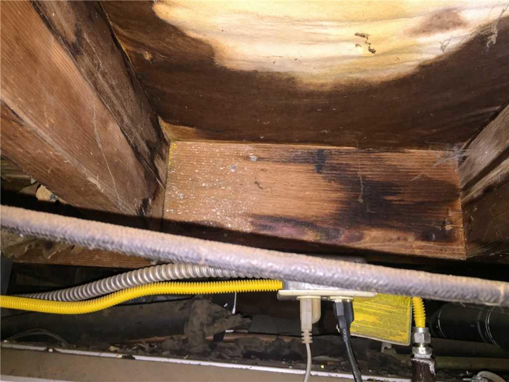Crawl Space Repair - Efflorescence in Crawl Space in Claremont, Ca ...