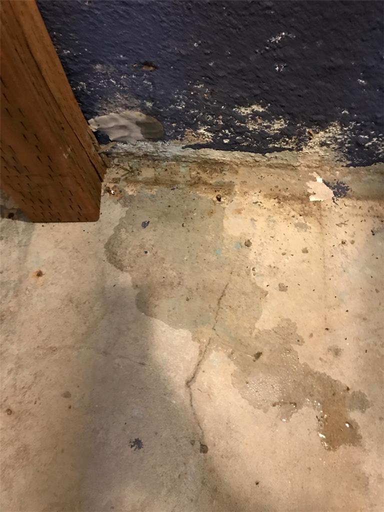 Basement Waterproofing - SentrySeal to Keep the Basement Dry in Boise ...