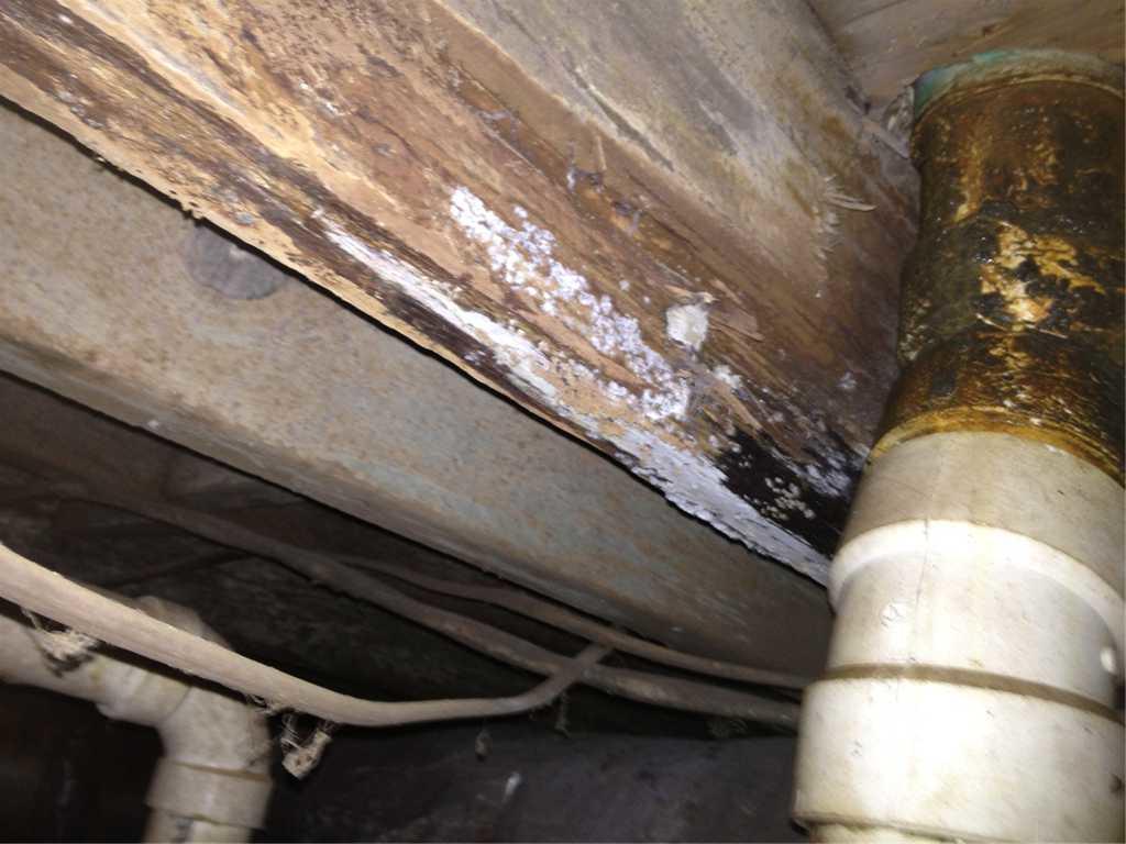 Foundation Repair Products - Crawlspace Beam Replacement and Jacks ...