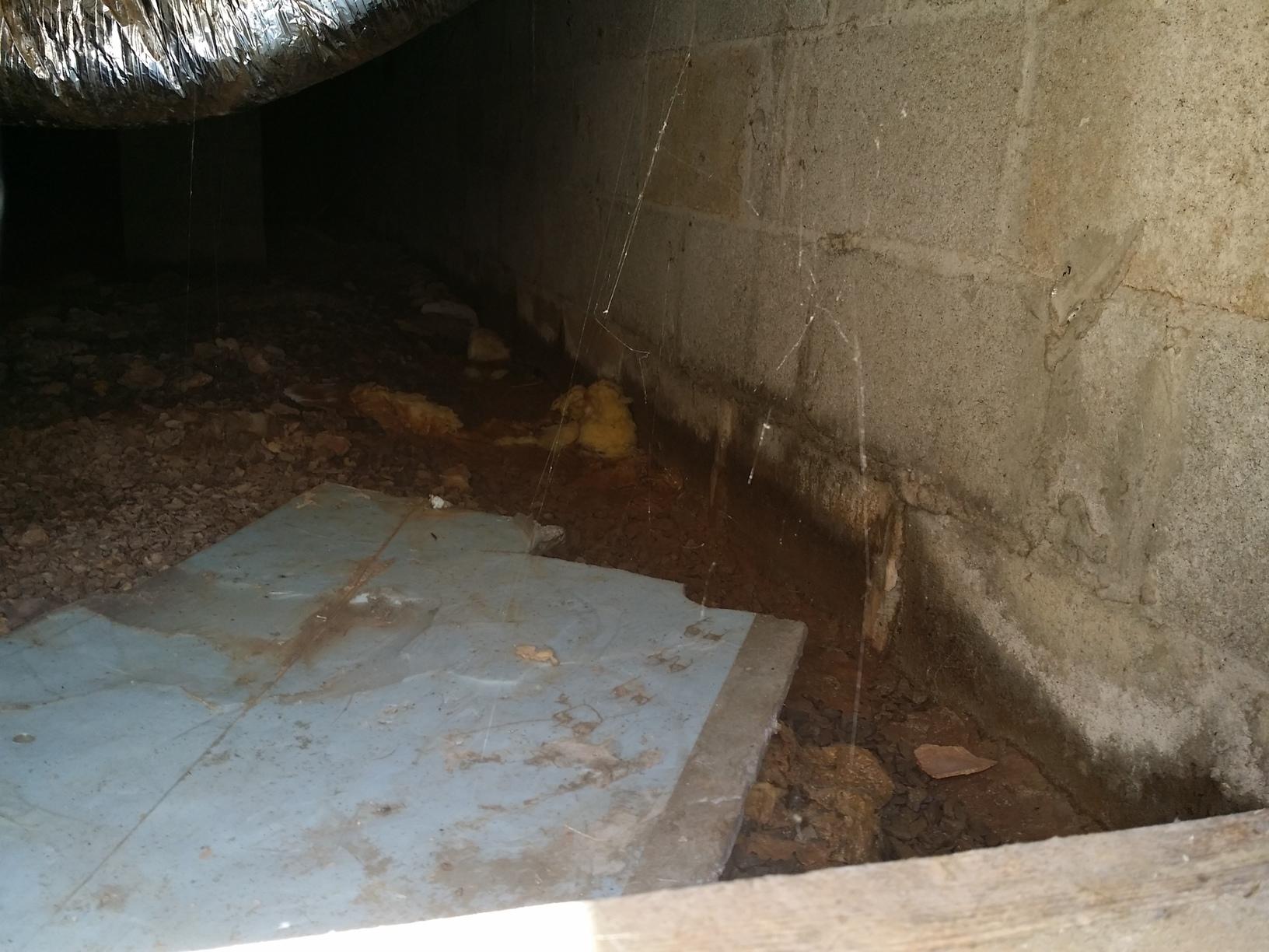 Mold Problems - Crawl Space Clean Up in Clarksville - Water in the ...