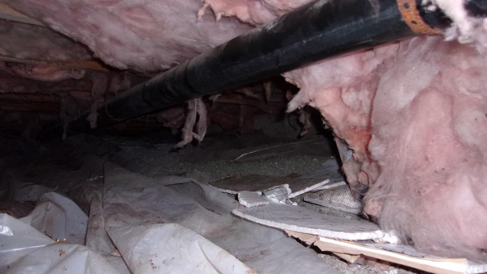 Crawl Space Repair - What does your Crawl Space Look Like? - Want a ...