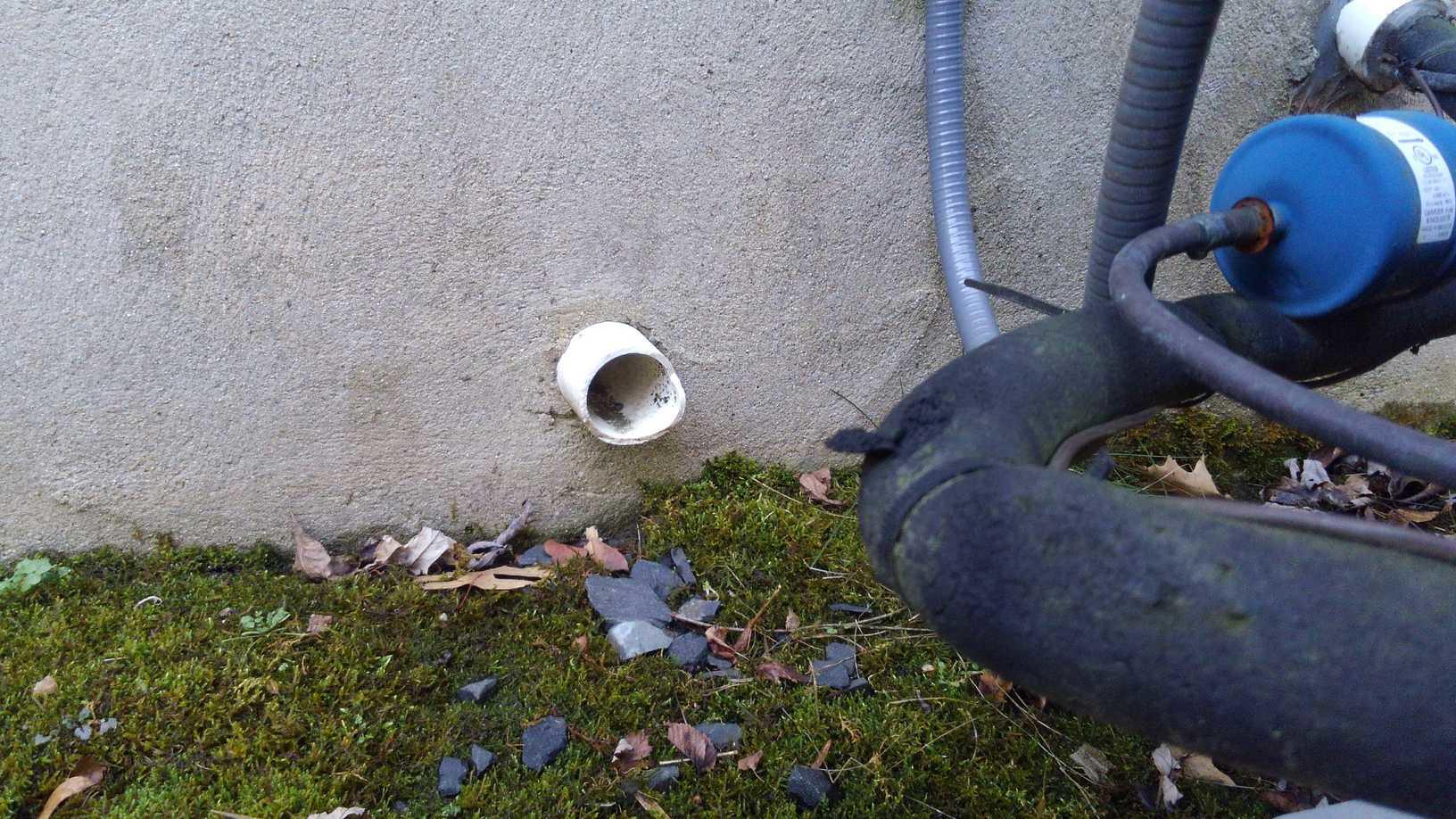 Pests We Treat - Pest Prevention Measures in Hazlet, NJ commercial ...