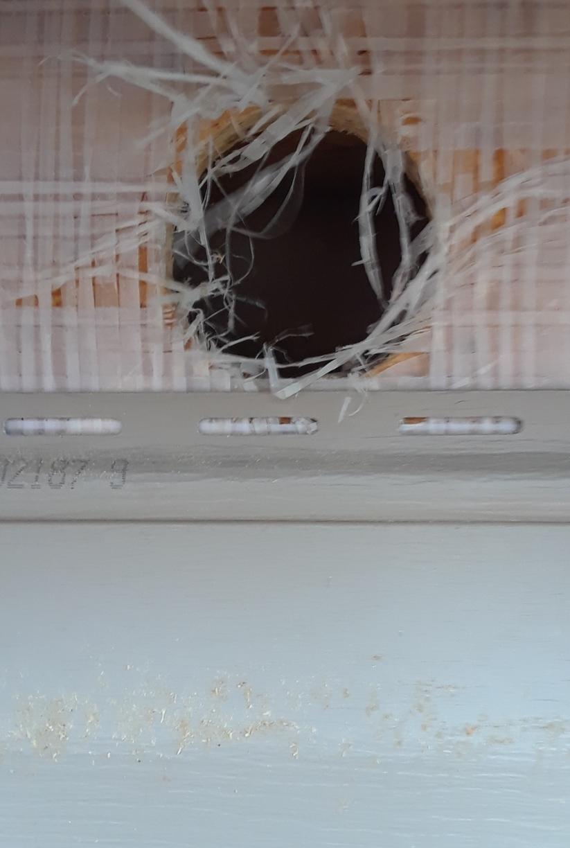 Blown-In Insulation - Dense Packing, Air Seal, and Blown-in Insulation ...