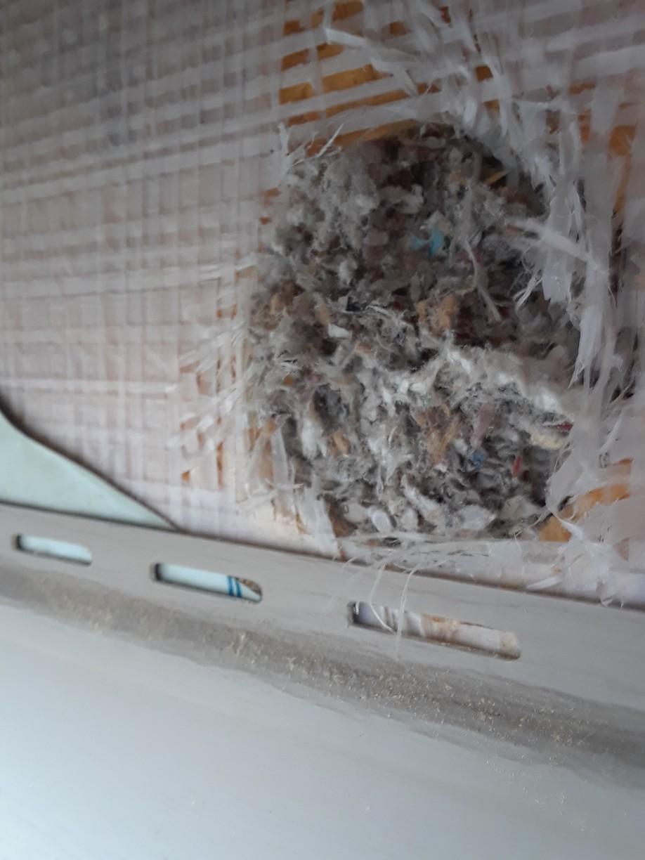 Blown-In Insulation - Dense Packing, Air Seal, and Blown-in Insulation ...