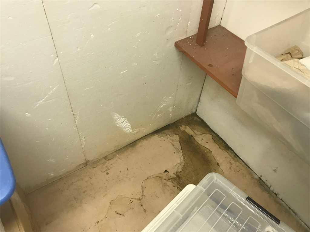 Basement Waterproofing - Collinsville, IL Waterproofed Basement - Water ...