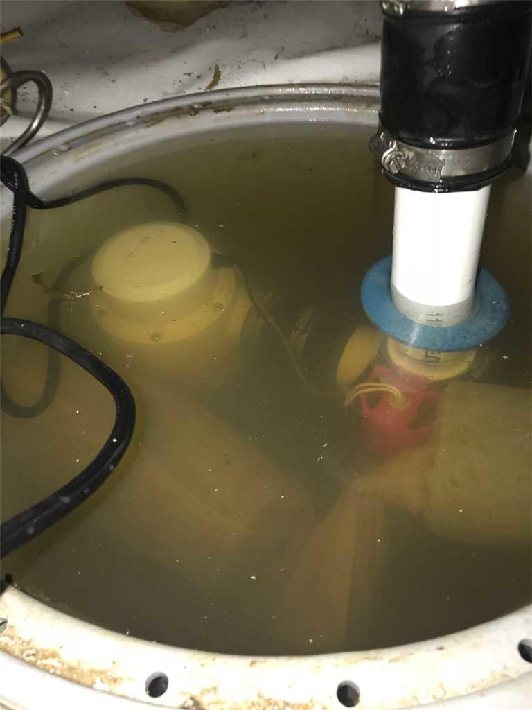 Basement Waterproofing - TripleSafe, CleanSpace, and Window Well Cover ...