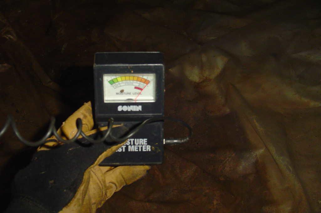 Crawl Space Repair - Crawlspace with Severe Moisture Problems and Mold ...