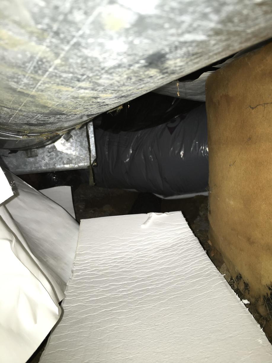 Crawl Space Repair - Crawlspace Encapsulation in Lake Oswego - Terra Block
