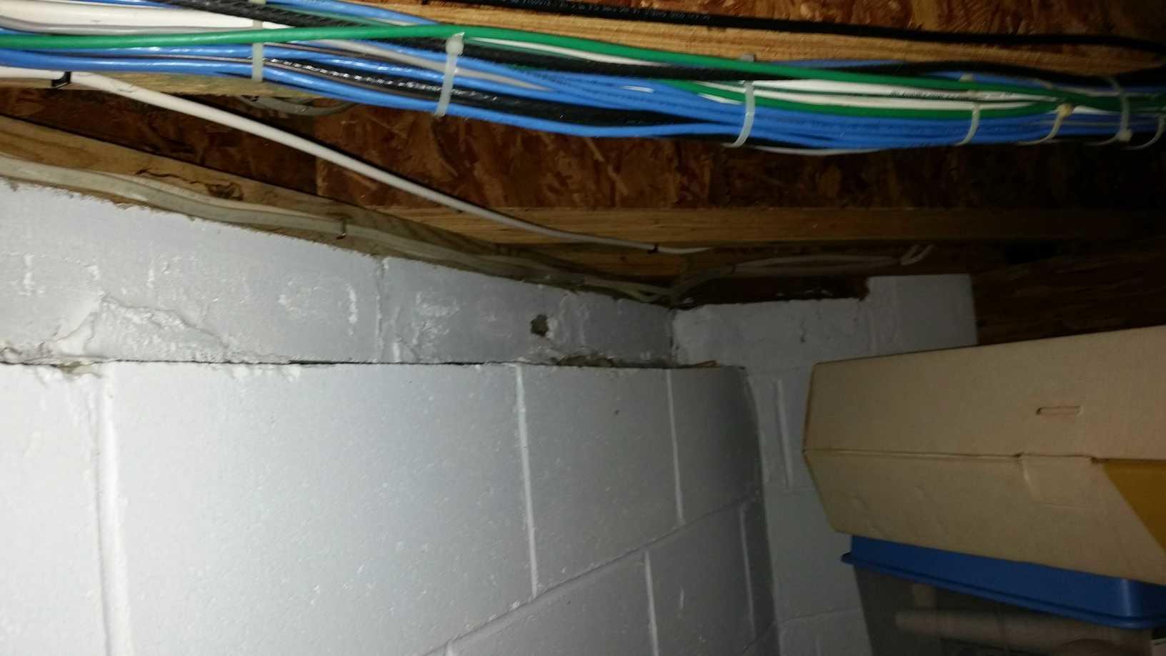 Pests We Treat - Mouse control in Matawan, NJ home - Mice entry in gap.