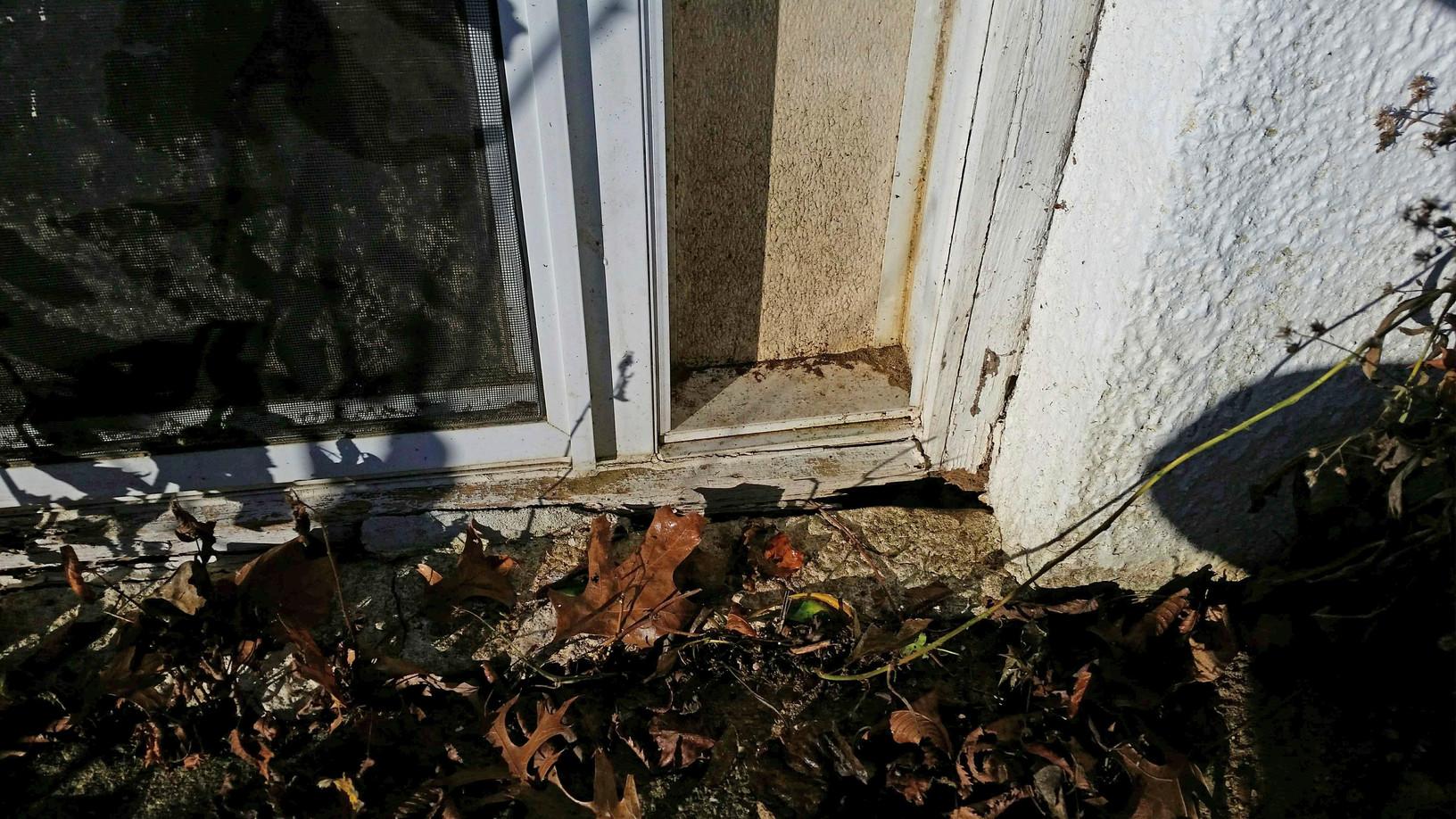 Pests We Treat - Multiple rodent entry points in Toms River, NJ ...