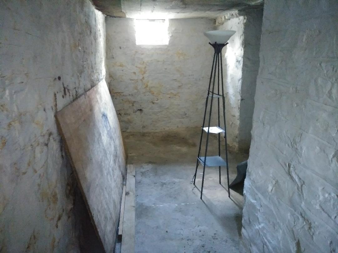 Basement Waterproofing - St. Louis Basement Transforms with the Help of ...