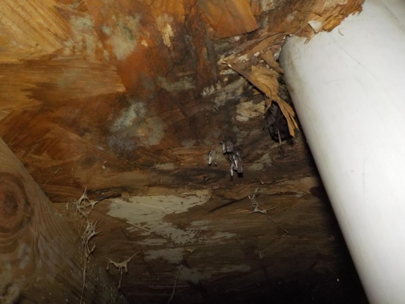 Crawl Space Repair - Healthy Crawl Space Encapsulation in Chapmansboro ...