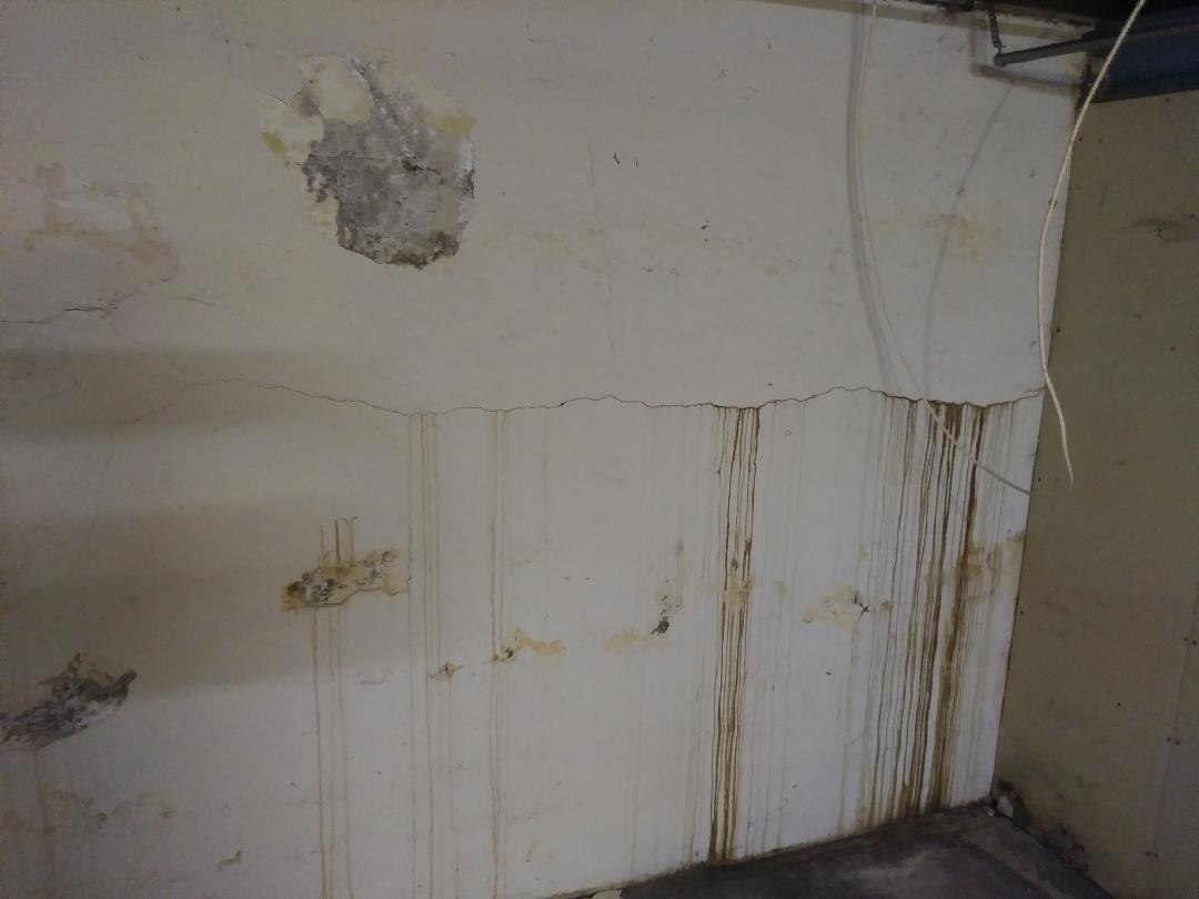 Basement Waterproofing - Leaky Finished Basement Protected Thanks to ...