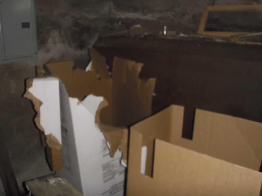 Basement Waterproofing - Major Leaks in Evansville, IL Basement Cleaned ...