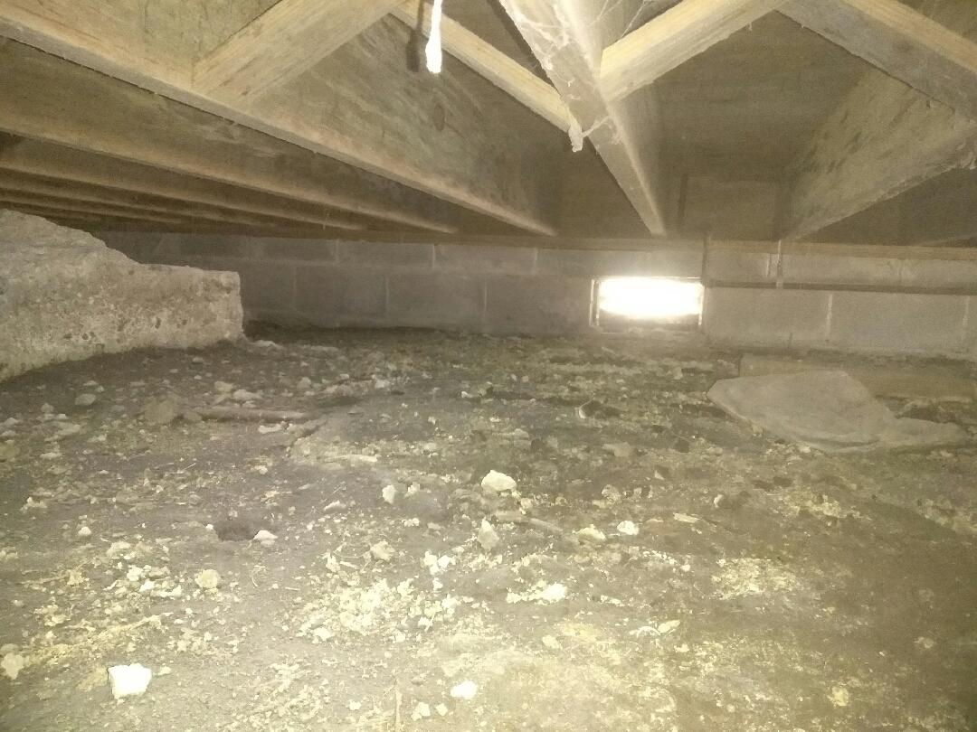 Woods Basement Systems, Inc. - Crawl Space Repair Photo Album - Rotting ...