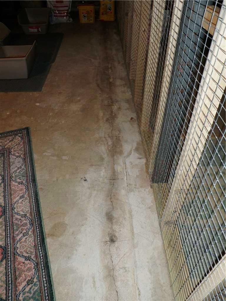 Basement Waterproofing - Cracks and Flooding Repaired in Montvale ...