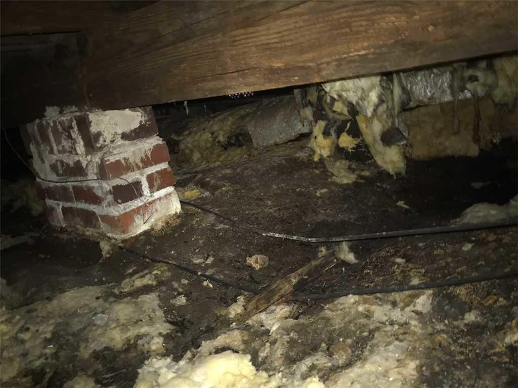 Subfloor Replacement in Savannah, GA - A Very Bad Crawl Space