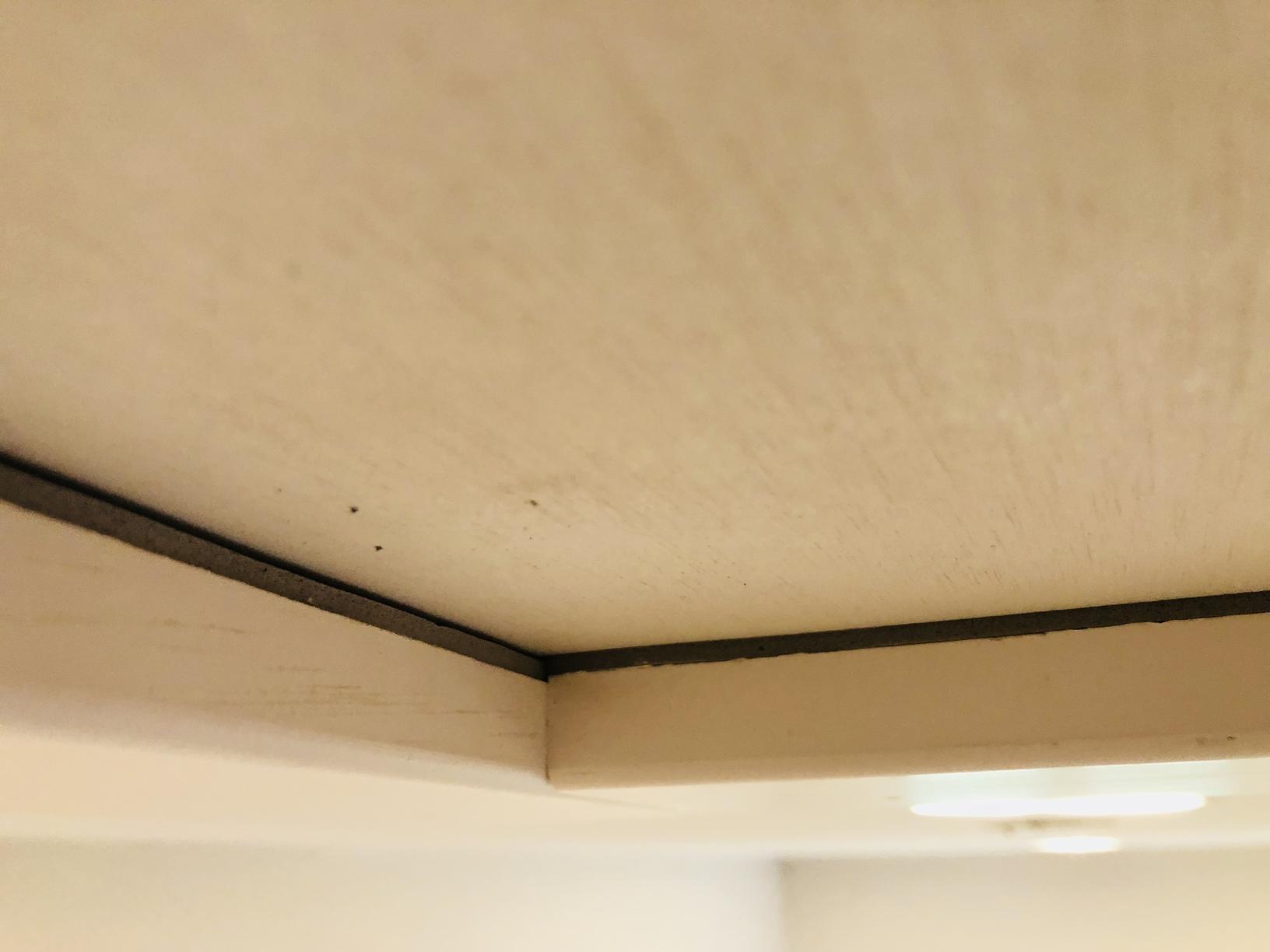 Attic Insulation - Attic Insulation and TiteShells in Great Falls ...