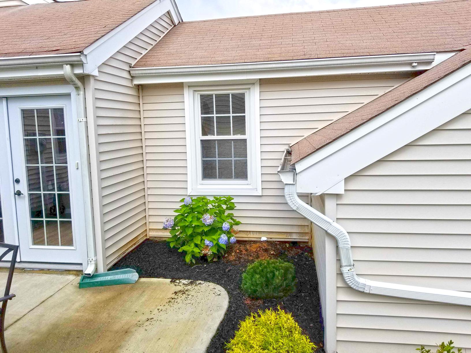 Wildlife Removal - Smelly Skunk Burrow in Freehold, NJ - Facts about ...