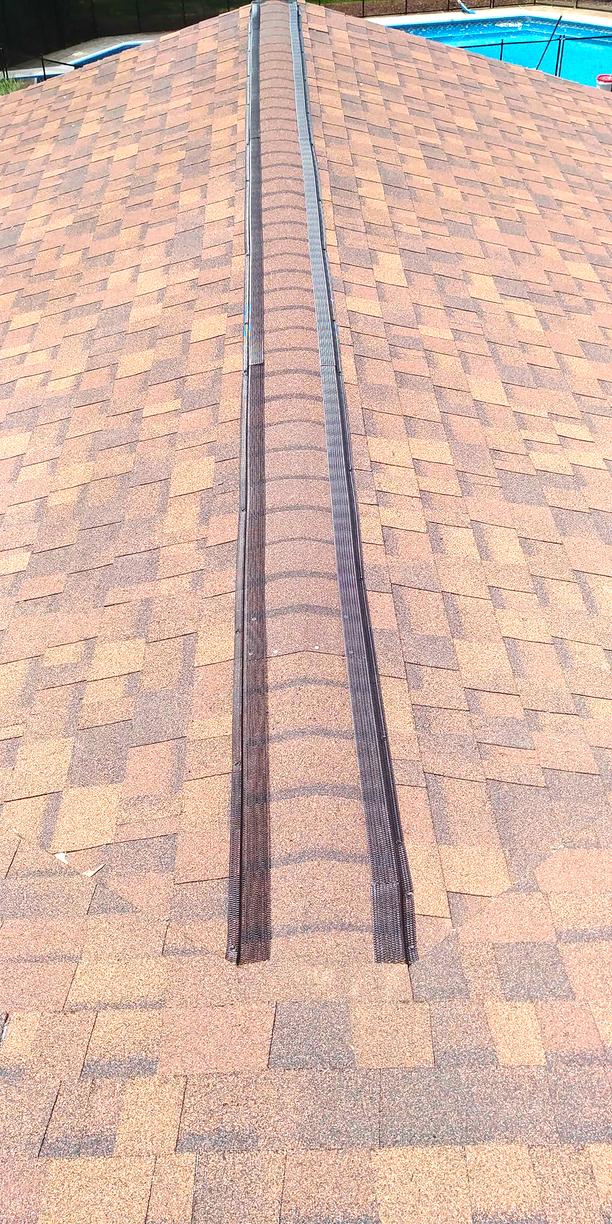 Wildlife Removal - Bats Expose Faulty Ridge Vent in Rumson, NJ - The ...