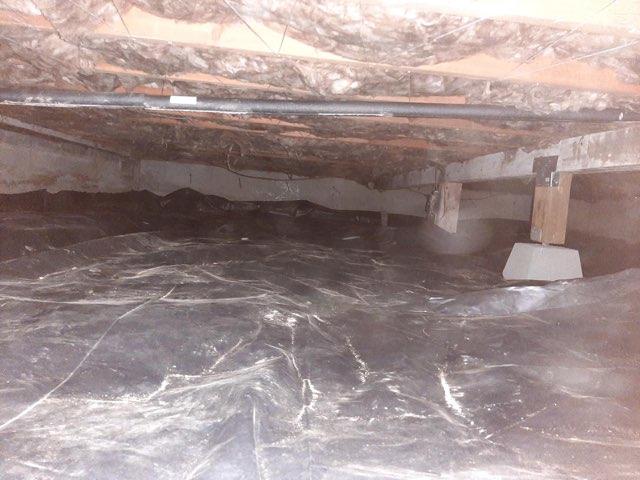 Crawl Space Repair - Crawlspace Insulation - Crawl Space Insulation Options