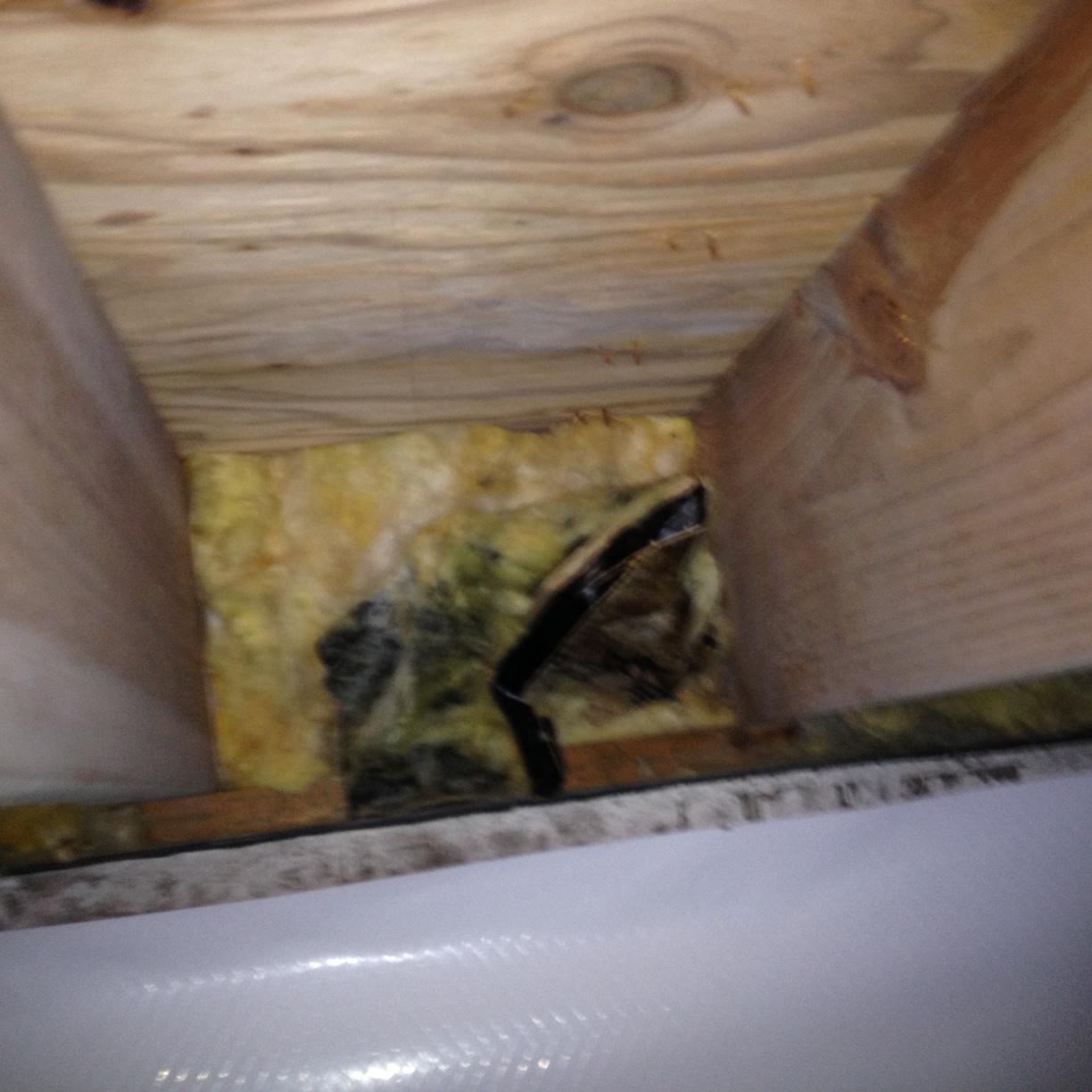 Crawl Space Repair - Crawl Space Vapor Barrier in Staunton IL - Termite ...