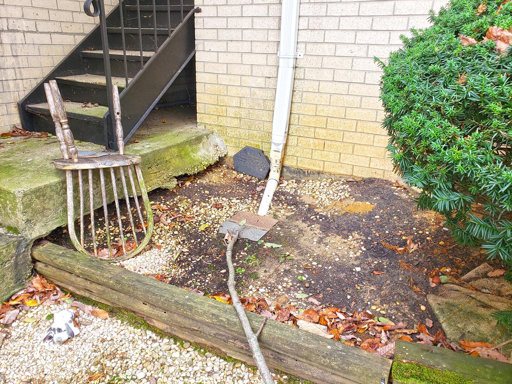 Pests We Treat - Mice Removal in Toms River, NJ - Their Harborage Areas