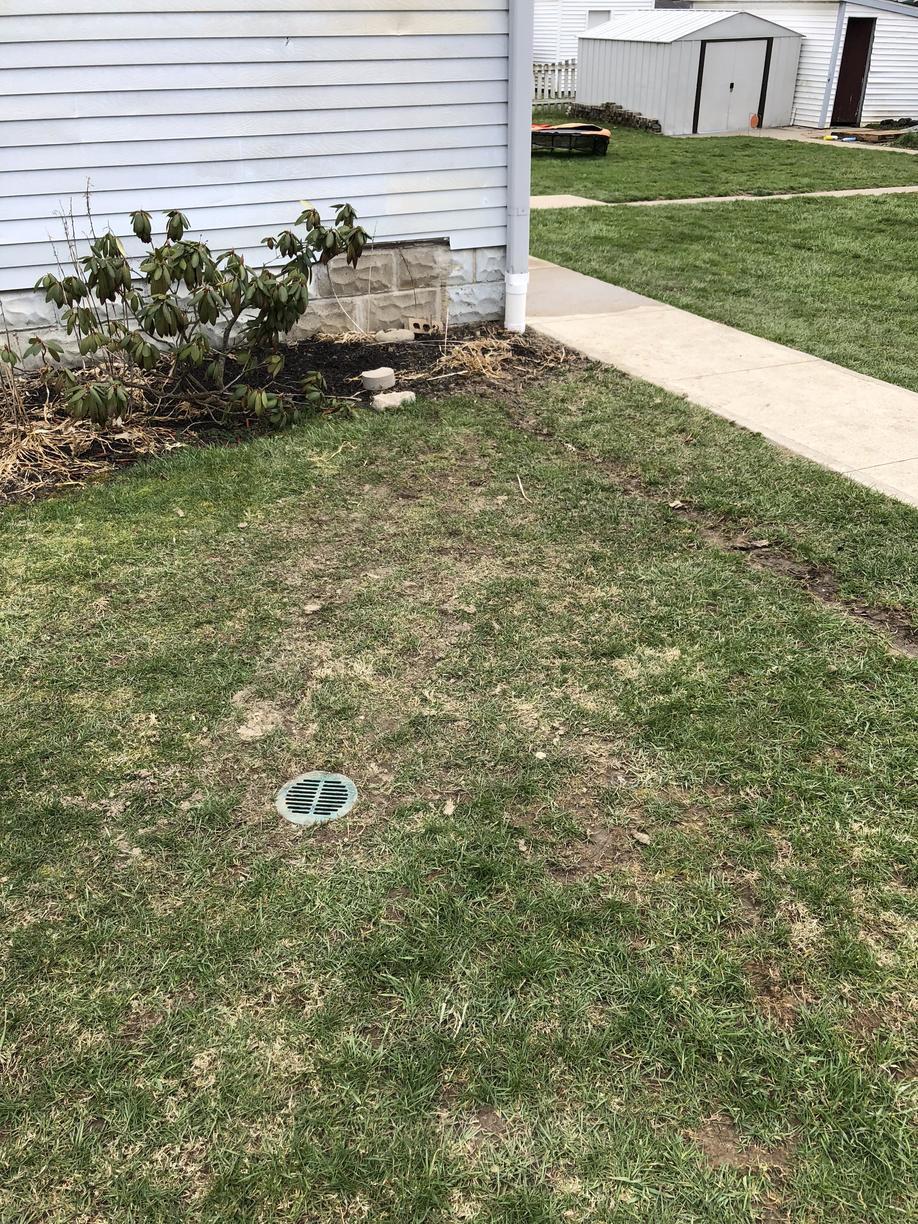 Basement Waterproofing - Damp Basement in Anderson, IN - EZ Flow Drainage