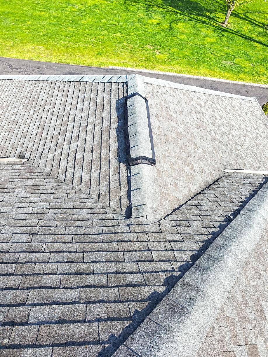 Wildlife Removal - Bat Receives White Glove Service in Rumson, NJ - The ...