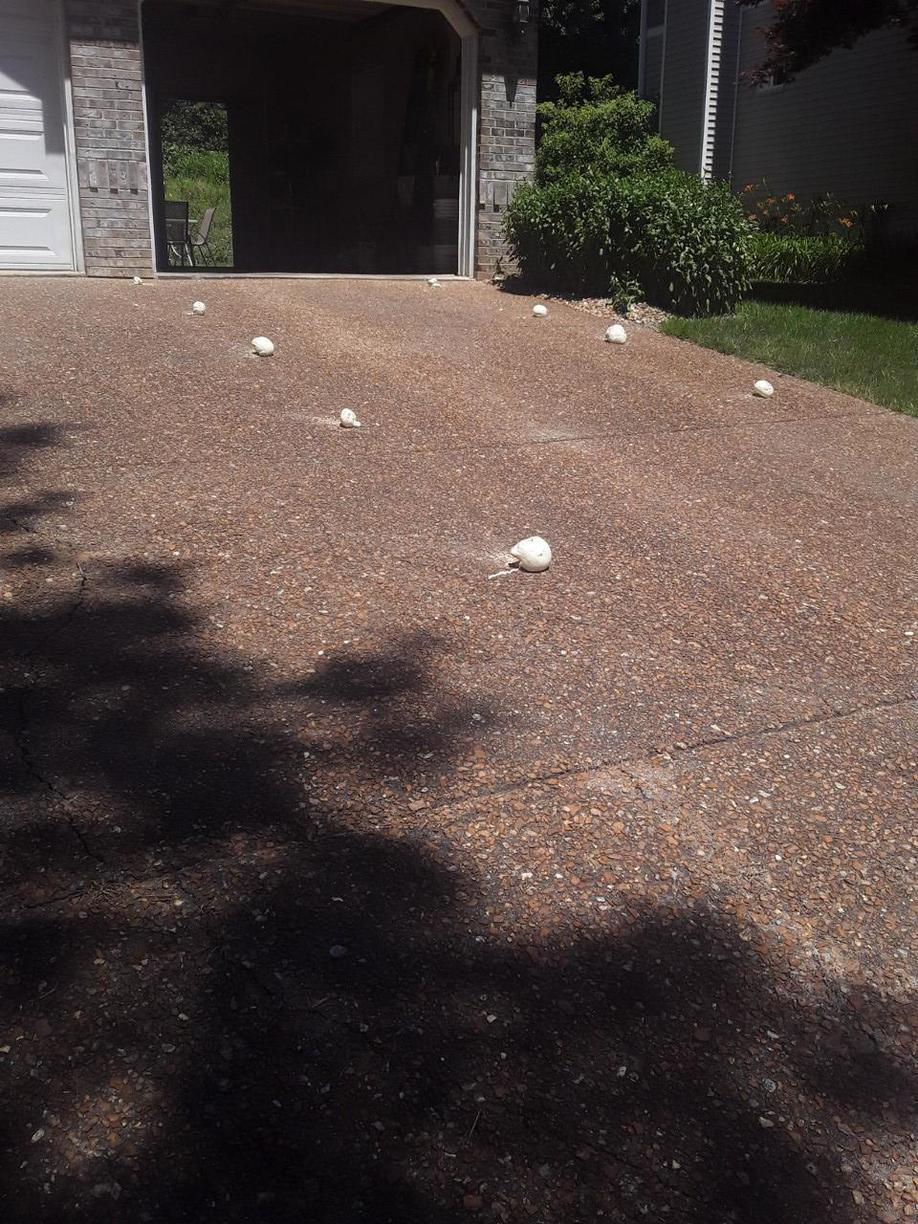 Basement Waterproofing - Leveling a Driveway in Collinsville, IL ...