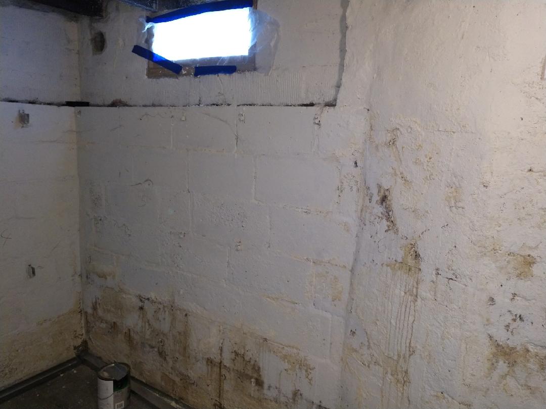 Basement Finishing - New Space in Old Saint Paul, MN Home with Total ...