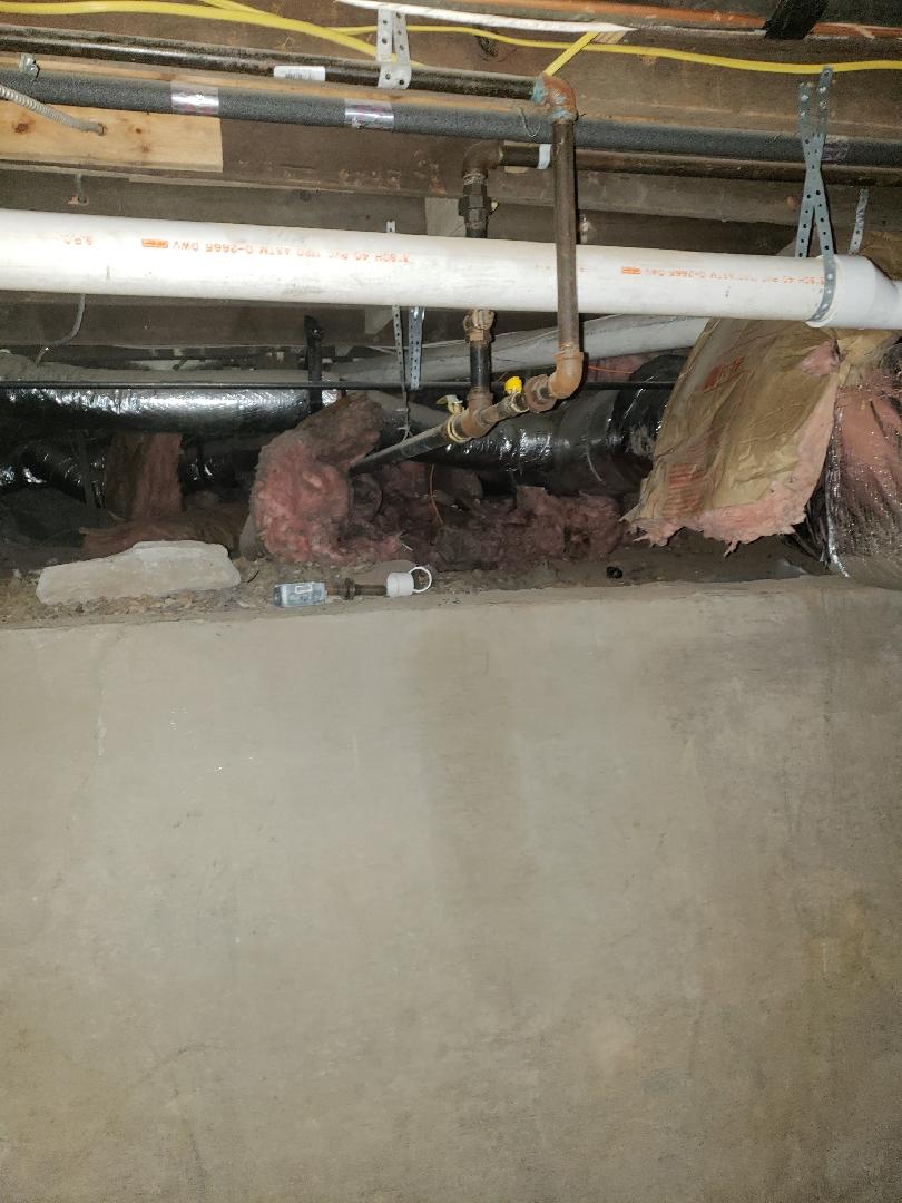 Crawl Space Repair - CleanSpace Encapsulation in Nashville, TN - Scary ...