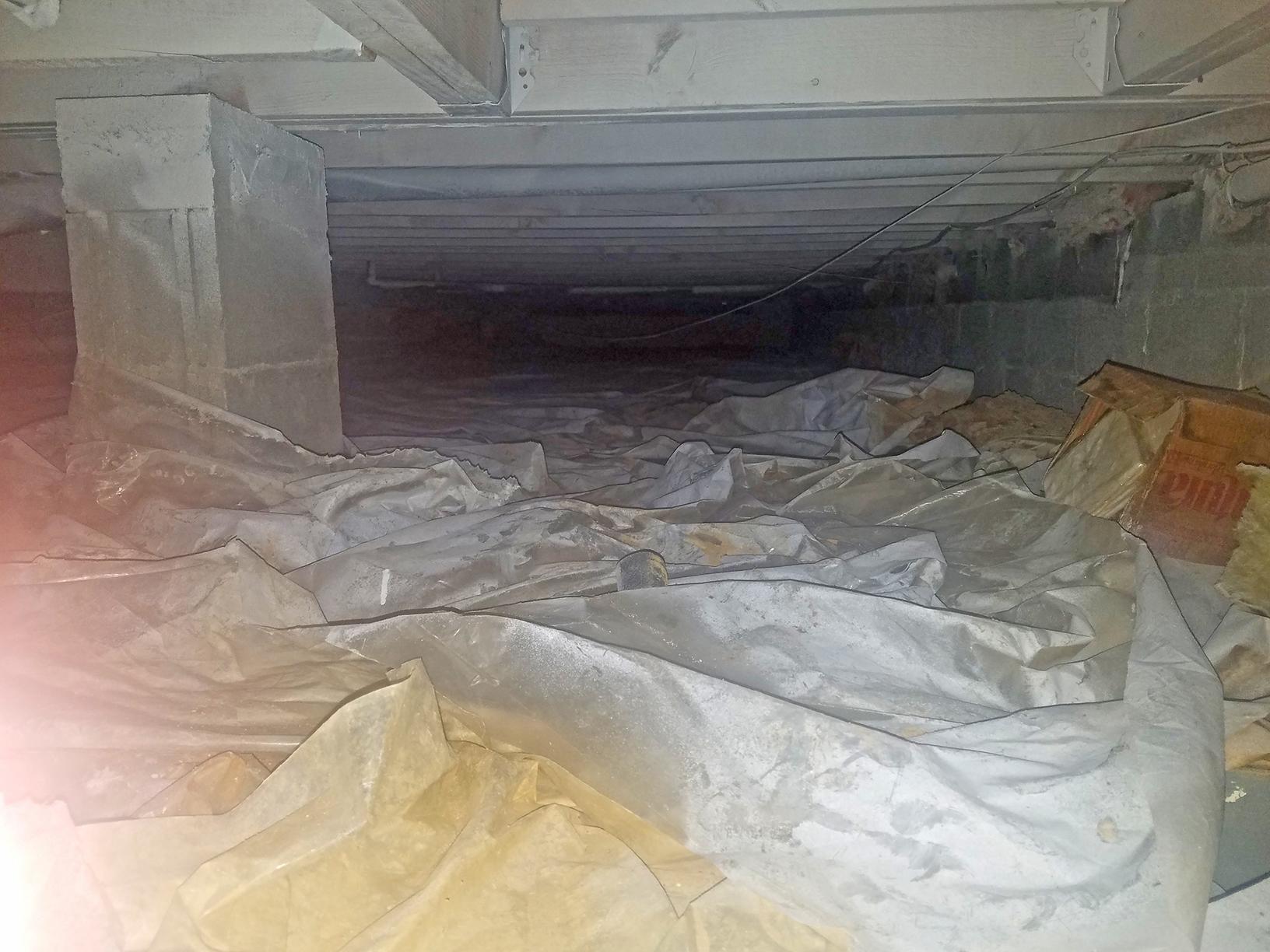 Our Mold Removal Services - Moldy Insulation Gets Removed and Treated ...