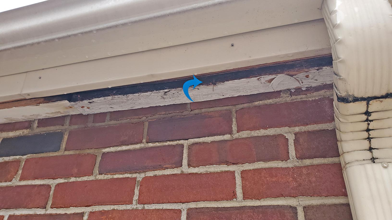 Pests We Treat - Cracks in Soffit Full of Paper Wasps in Belford, NJ ...