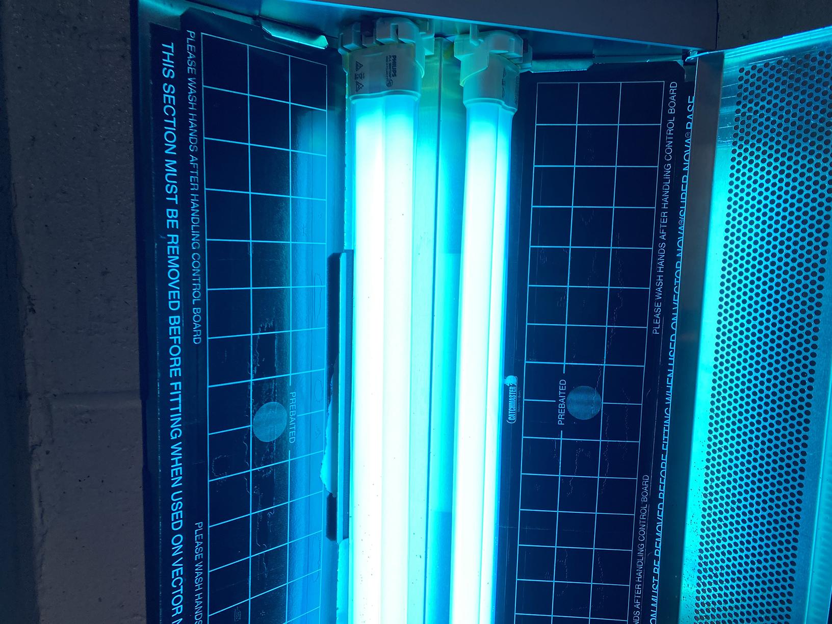 Pests We Treat - The Effectiveness of a FlyLight in Mantoloking, NJ ...