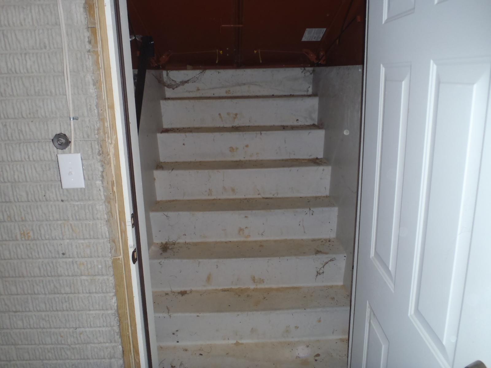 Basement Waterproofing - Mold in Basement - Damage on Stairs