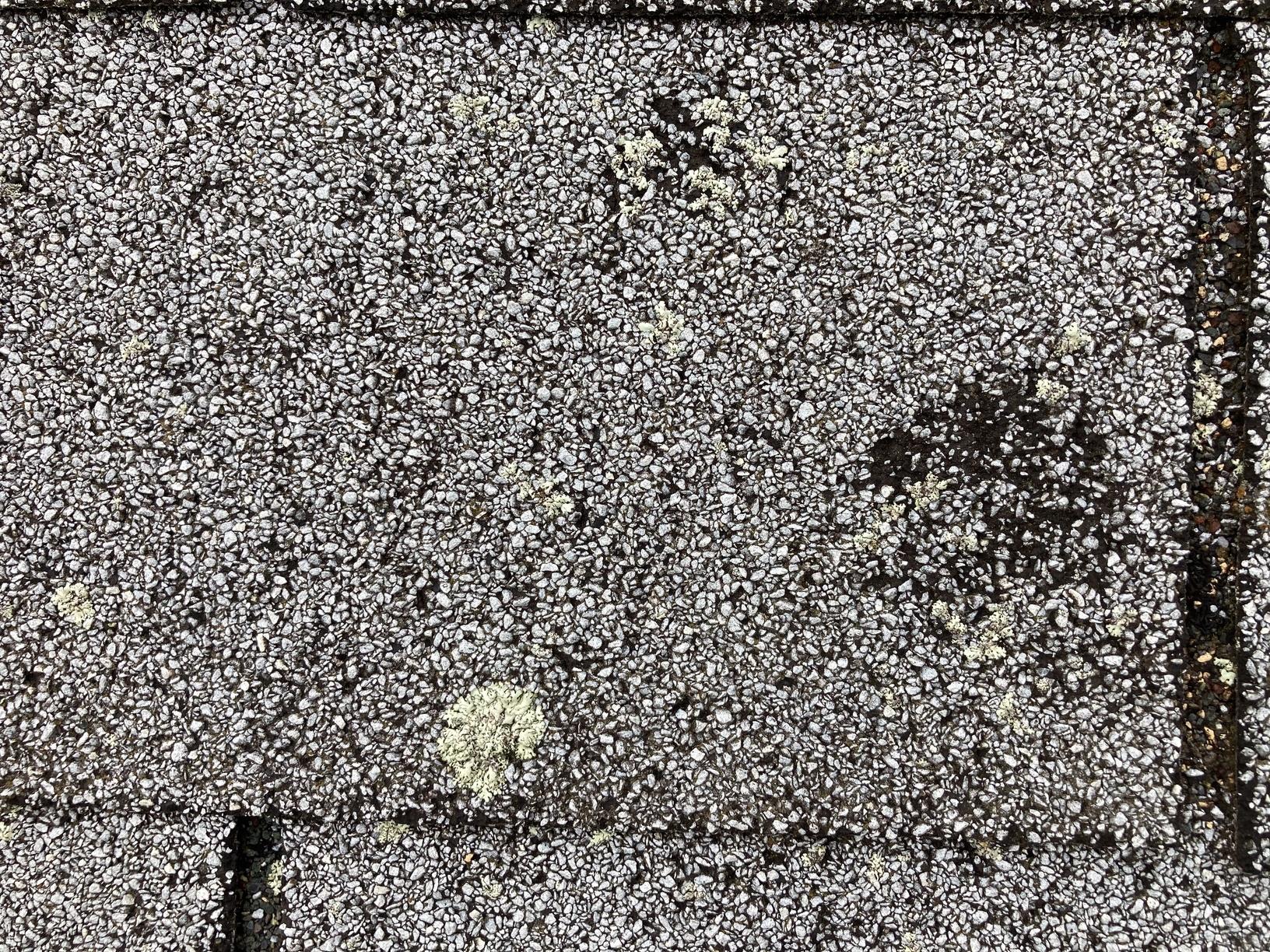 Roof Repair & Maintenance - Severe Hail Damage in Providence, RI - Hail ...