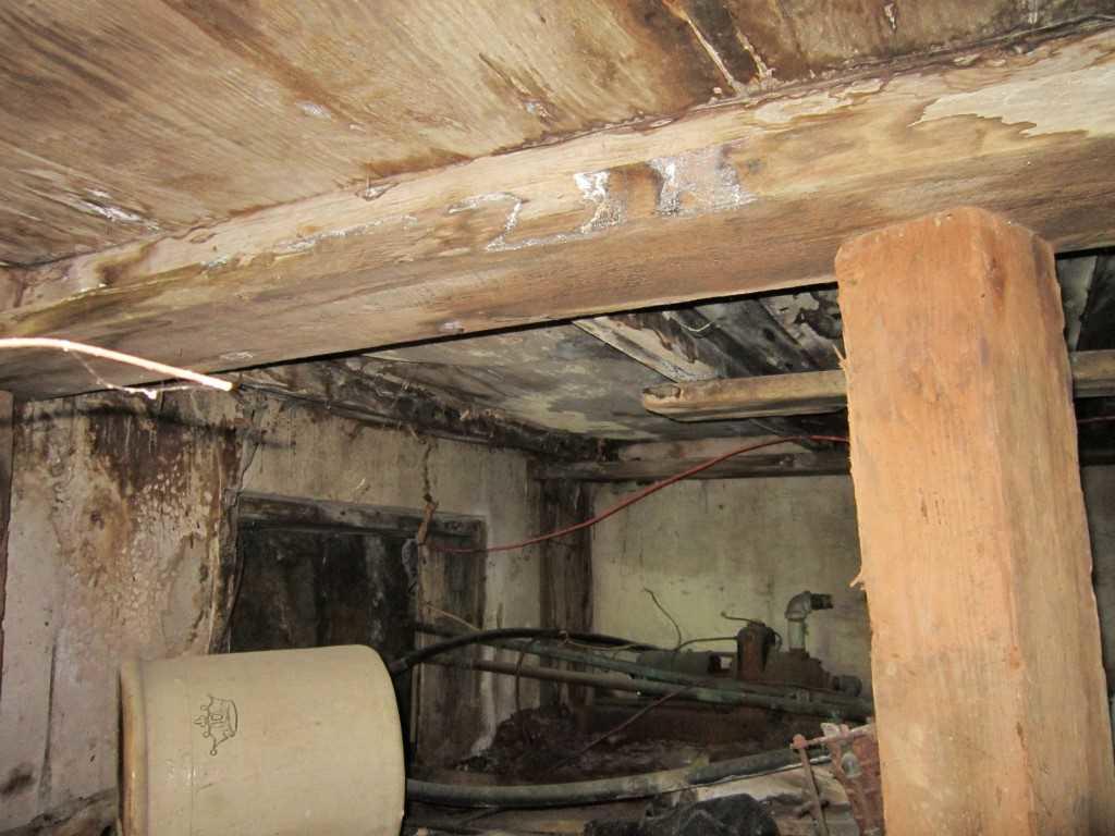 Crawl Space Repair - Crawlspace Cleanout and Encapsulation - Rotting Wood